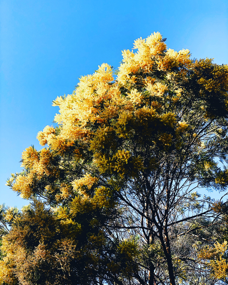 About Us – Hungry Workshop